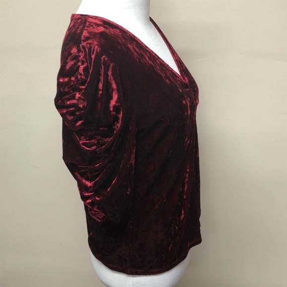 Mossimo Supply Co. | Tops | Mossimo Red Velvet Crop Top W Ruched ...